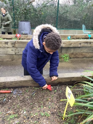 Perseid School - Klee Class in the Edible Garden